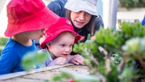 Lifelong Learning Curriculum | Affinity Education Group